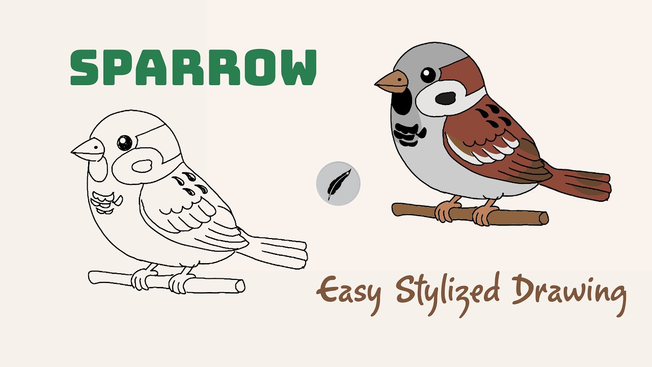 How to Draw a Stylized House Sparrow A Simple, Easy and Minimalist Bird ...
