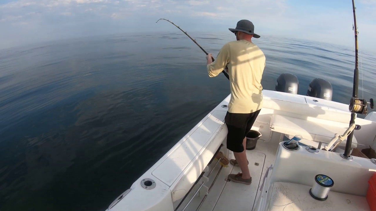 Little Red Snapper puts up a good fight - YouTube