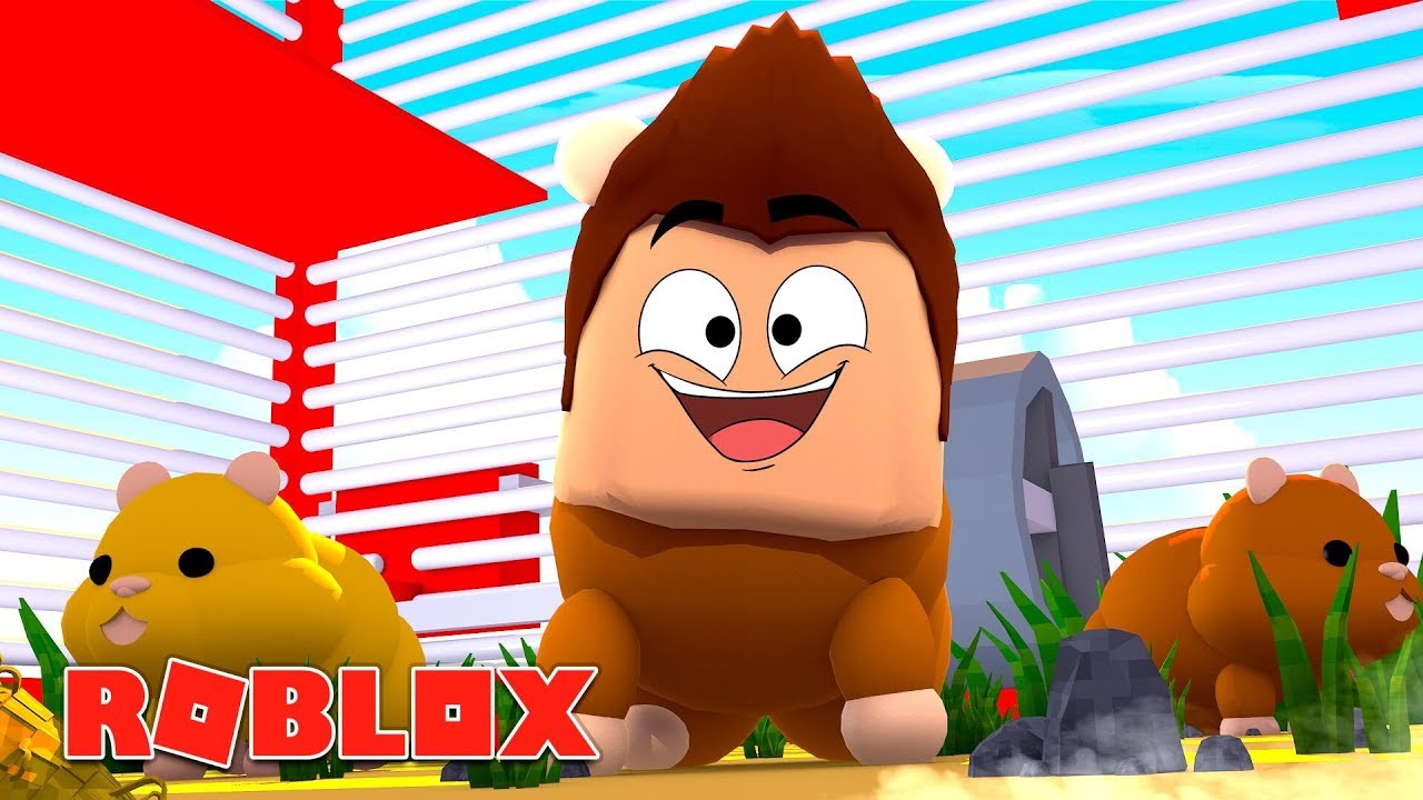ALS HAMSTER ROBLOX SPIELEN! - YouTube