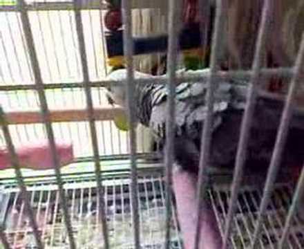 Luigi in his cage - YouTube