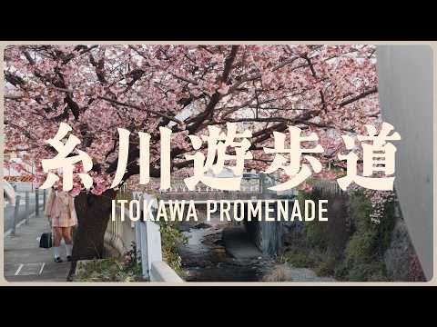 Video Postcards Vol.33 - 糸川遊歩道 Itokawa Promenade | iPhone 17 Pro
