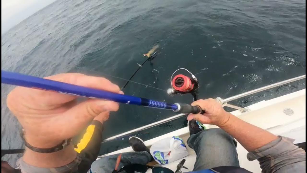 Pesca ao choco. Eging em Albufeira, Lula XL. - YouTube