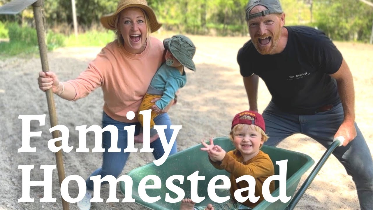 WILL IT COME? Homestead family start their biggest project yet! - YouTube