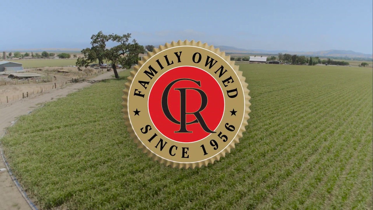 Who is Christopher Ranch? CR Overview 2019 - YouTube