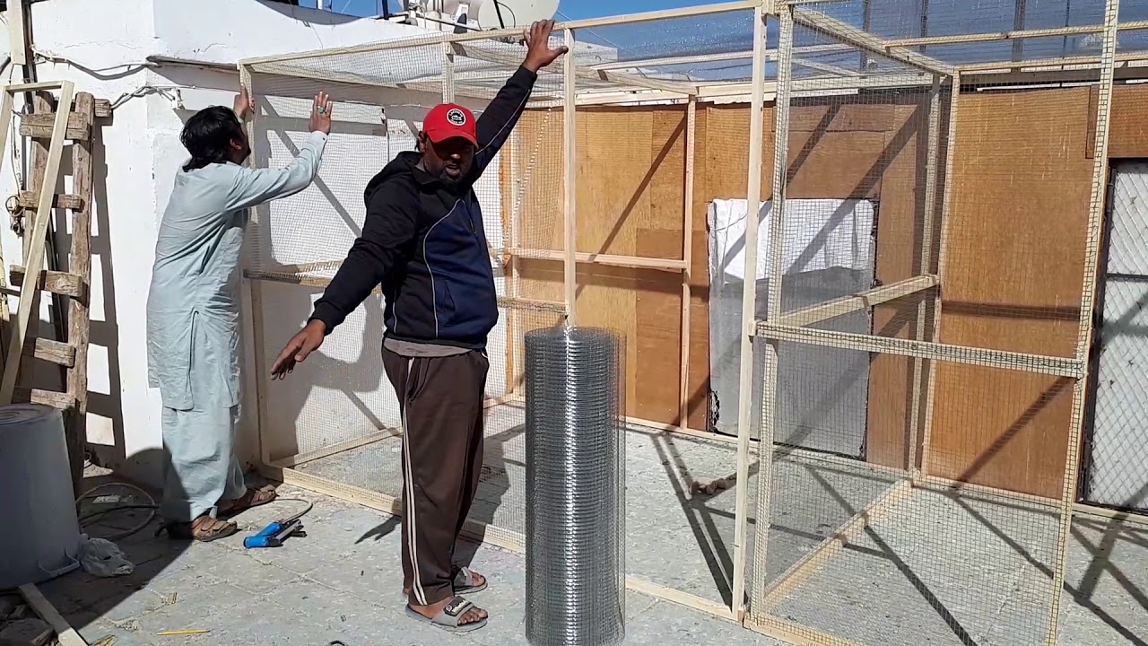 High flying pigeons cage setup complet pigeons star live - YouTube