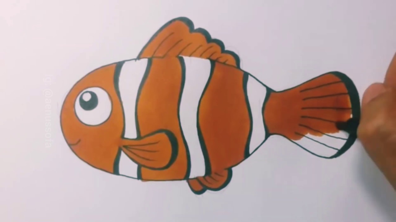 Film anak anak " Menggambar Tokoh Kartun NEMO " - YouTube