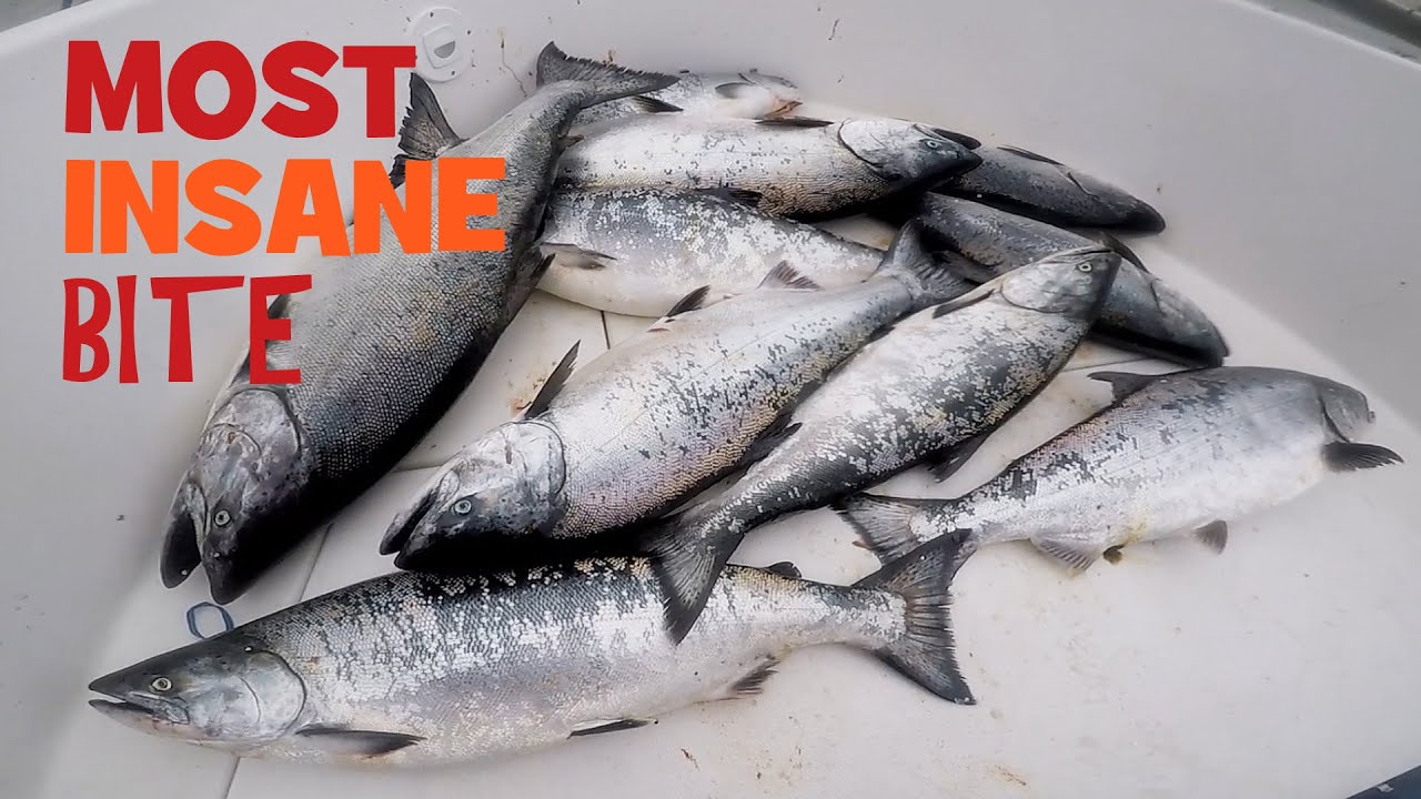 Most Insane Salmon Bite at Half Moon Bay - YouTube