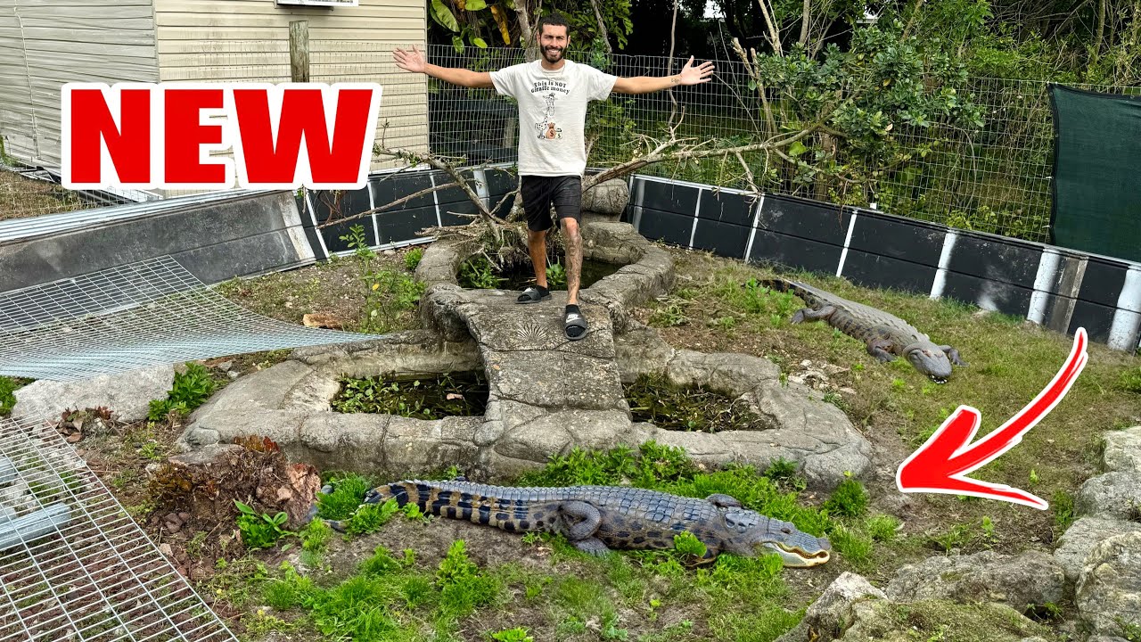 BUILDING Huge GATOR Enclosure! Pt. 1 - YouTube