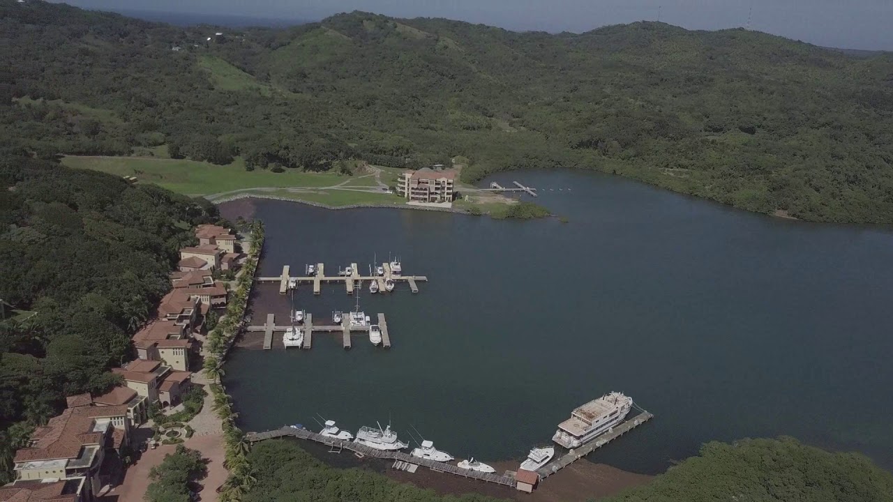 Roatan Parrot Tree Plantation 2018 - YouTube