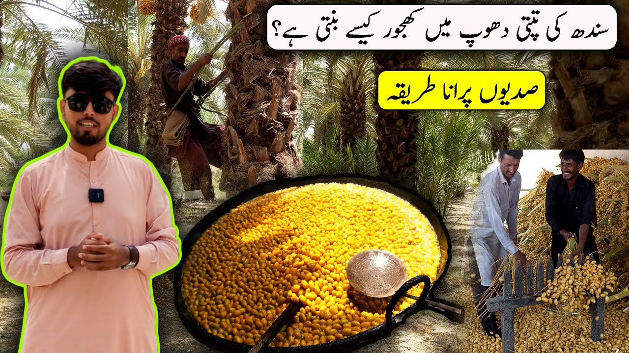 Traditional Dates Processing in Sindh | Chohara Kesy Banta Hai | How to ...