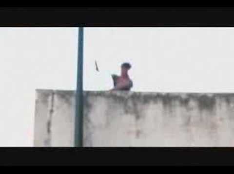 Extrait Making Of Banlieue 13 : Interview David Belle