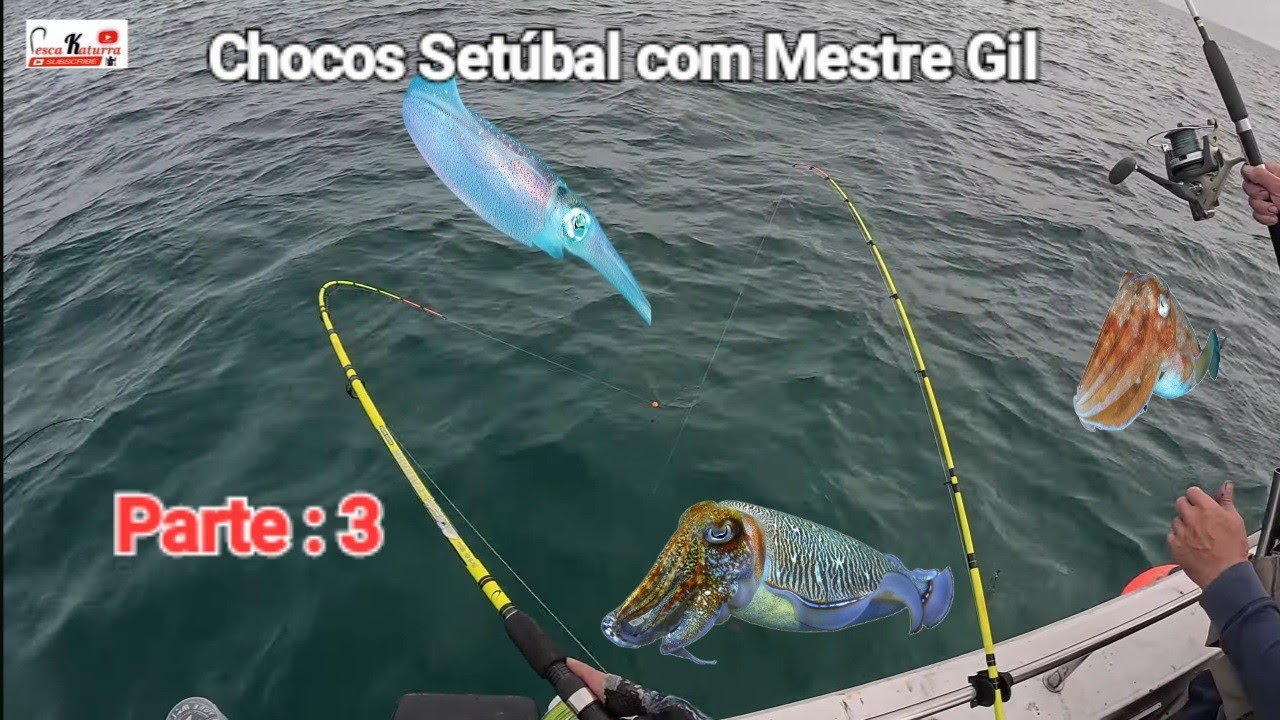 Chocos Setúbal Farol do Sado Mestre Gil Parte 3 - YouTube