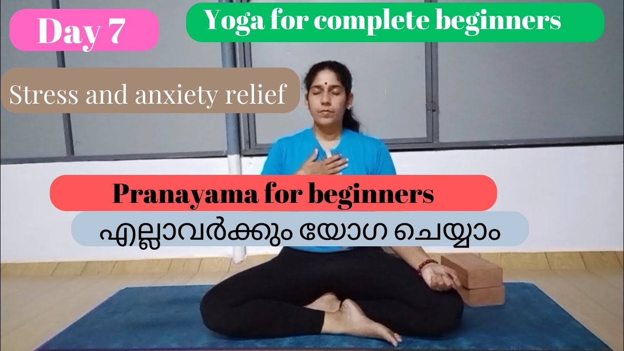 എല്ലാവർക്കും യോഗ ചെയ്യാം, Day 7 yoga for beginners, Pranayama for ...