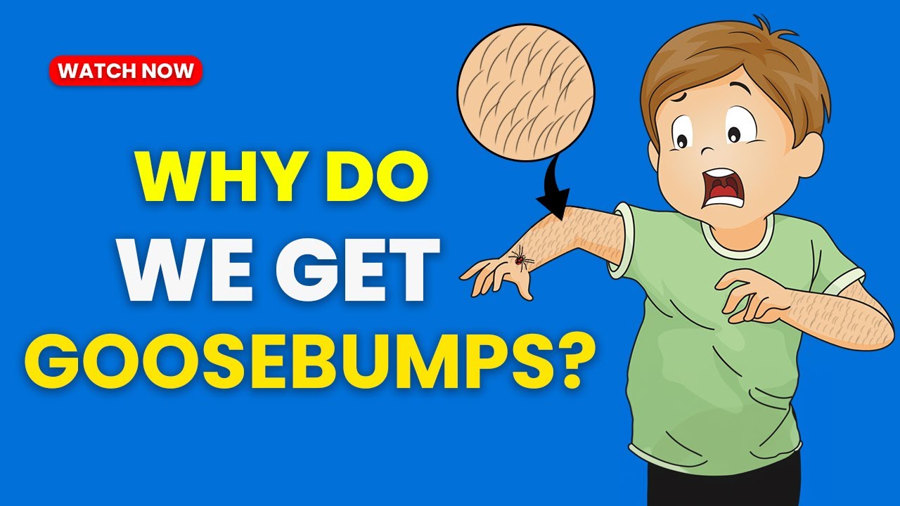 The Science of Goosebumps: Why Do They Happen and What's Their Purpose ...