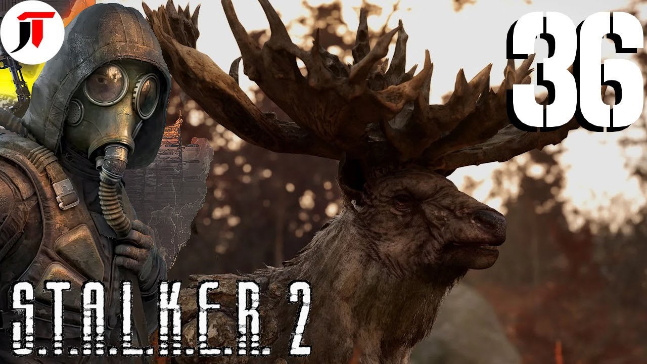 🦌🔫😱 CARIBOU !!! 🦌🔫😱 - STALKER 2 36 - YouTube