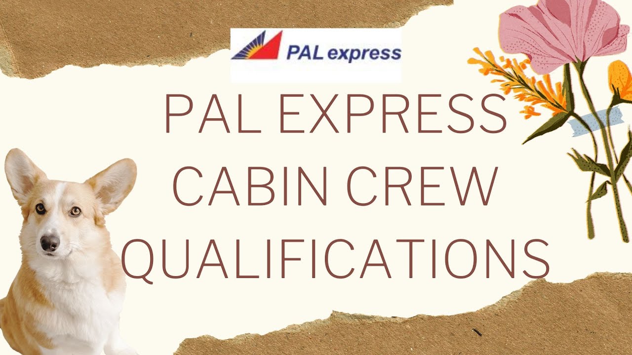 EFW : PAL Express || Cabin Crew Qualifications || Flight Attendants ...