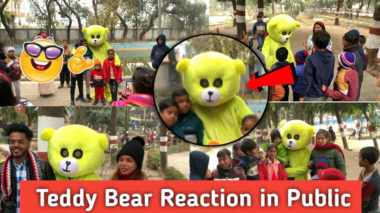 Teddy Bear Reaction In Public 😍 | Teddy Bear Video | Teddy Bear ...