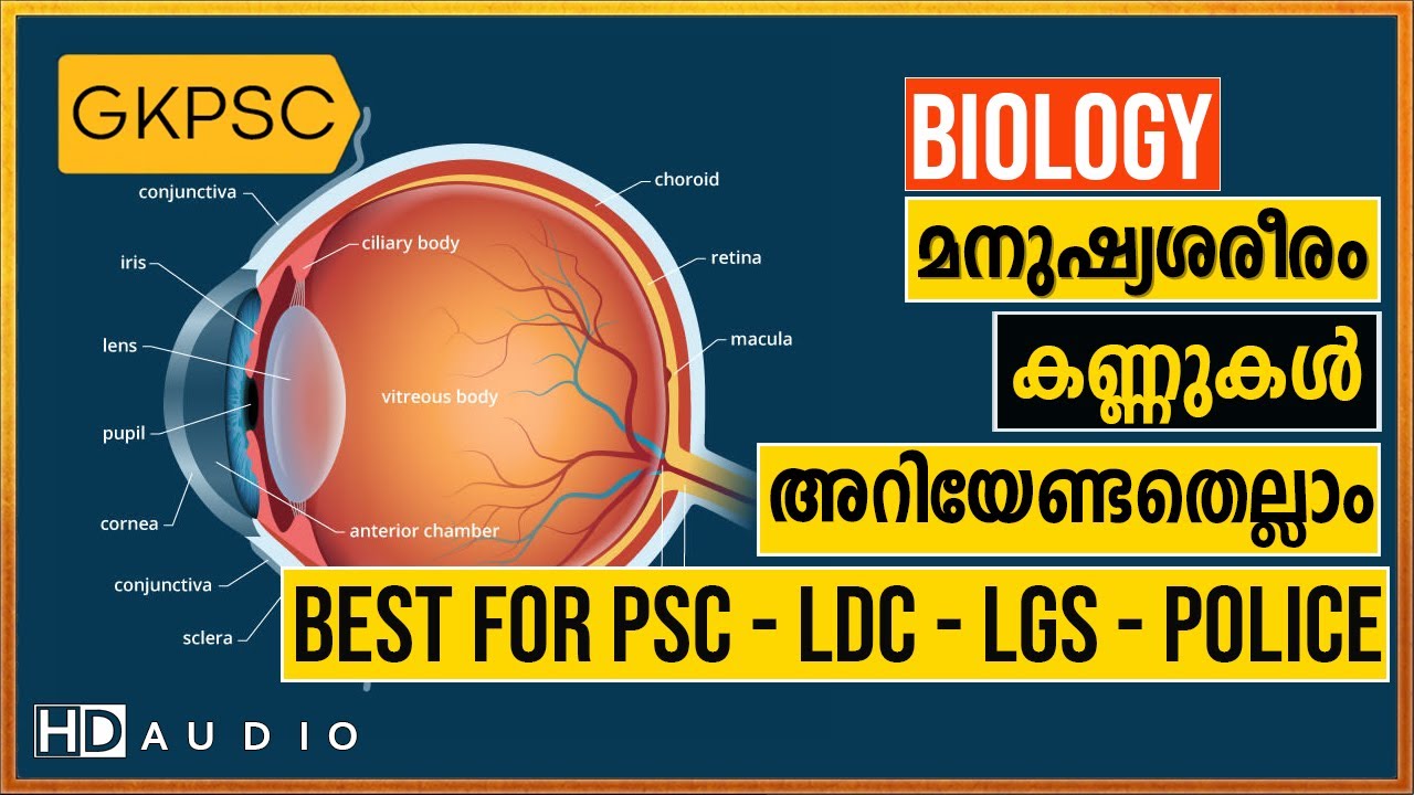 Kannukal |manushya shareeram psc malayalam class biology psc malayalam ...