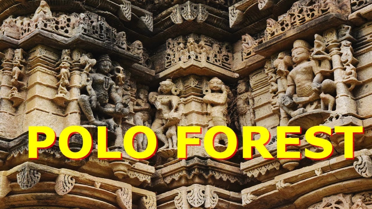 Tourist Attraction in Polo Forest - Vijaynagar - Gujarat - YouTube