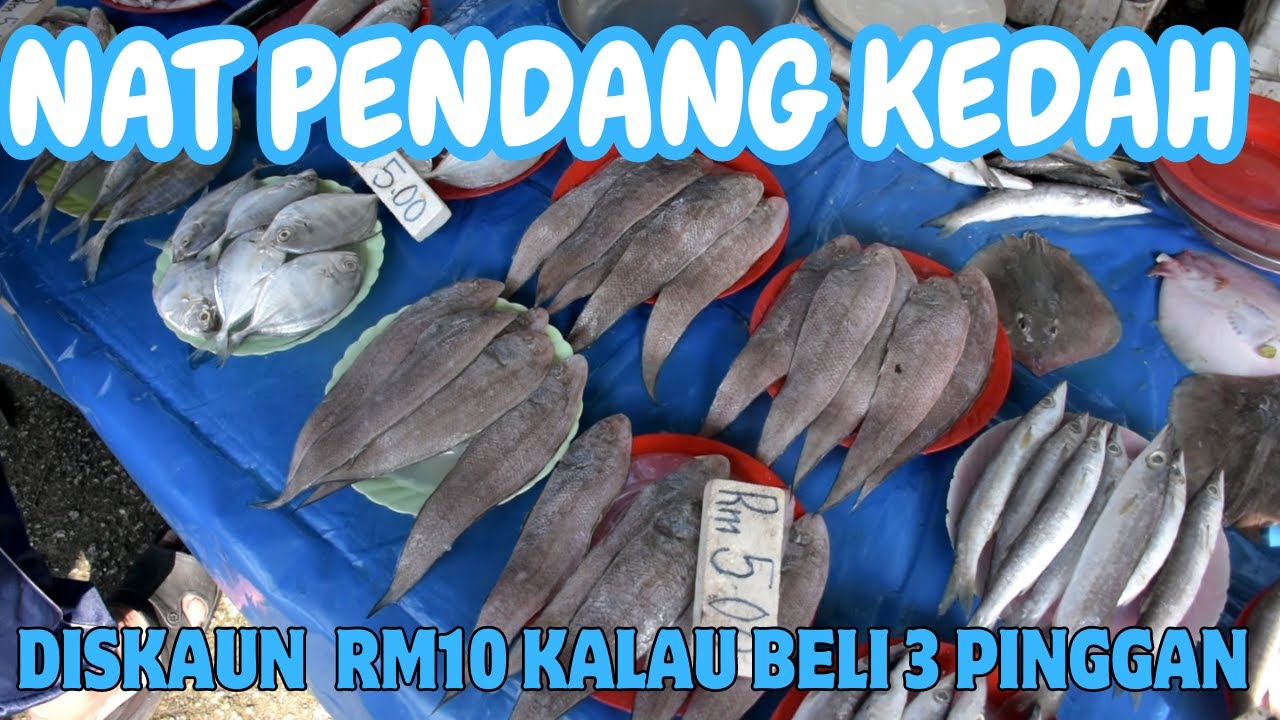 Nat Pendang, Beli 3 pinggan DISKAUN RM10.00. Pelbagai hasil laut dijual ...