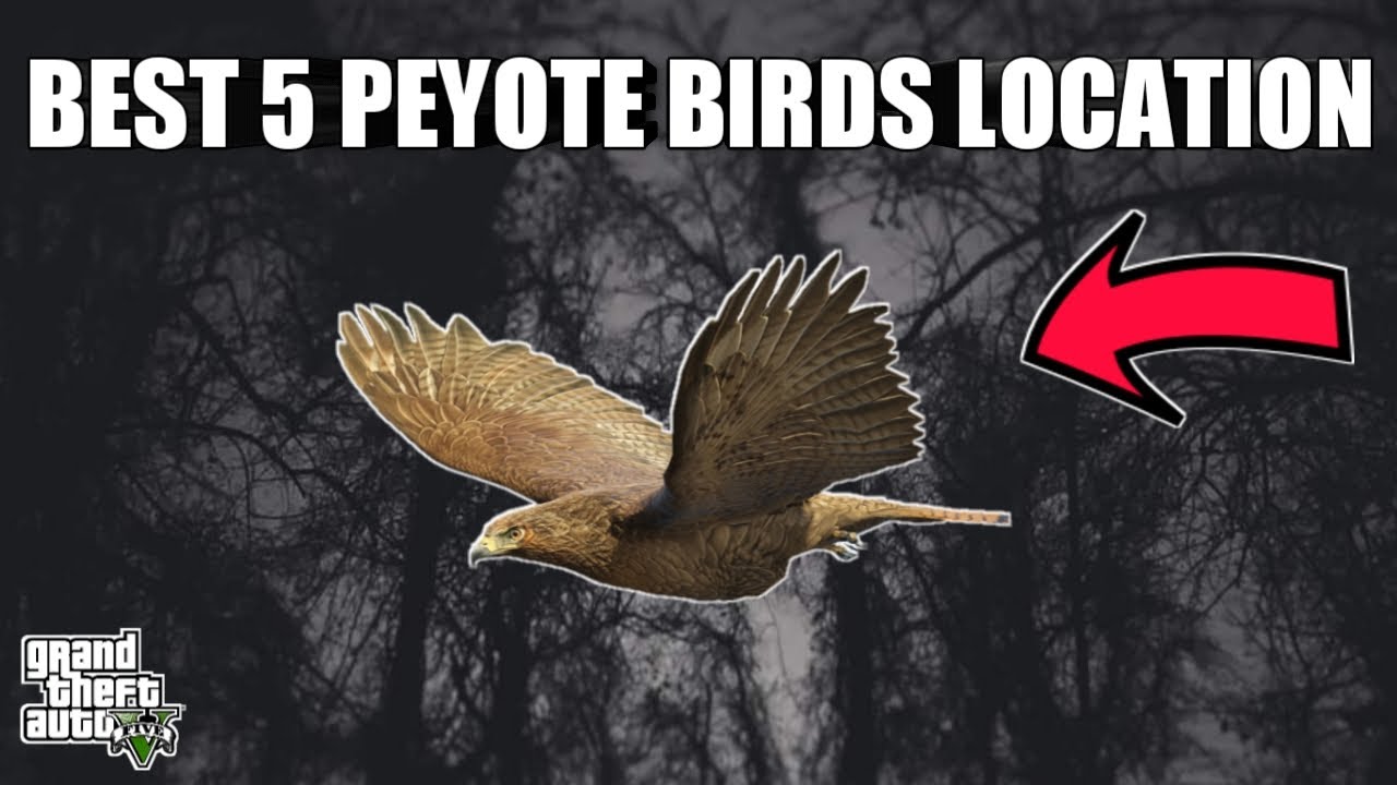 BEST 5 PEYOTE BIRDS LOCATIONS - GTA 5 - YouTube