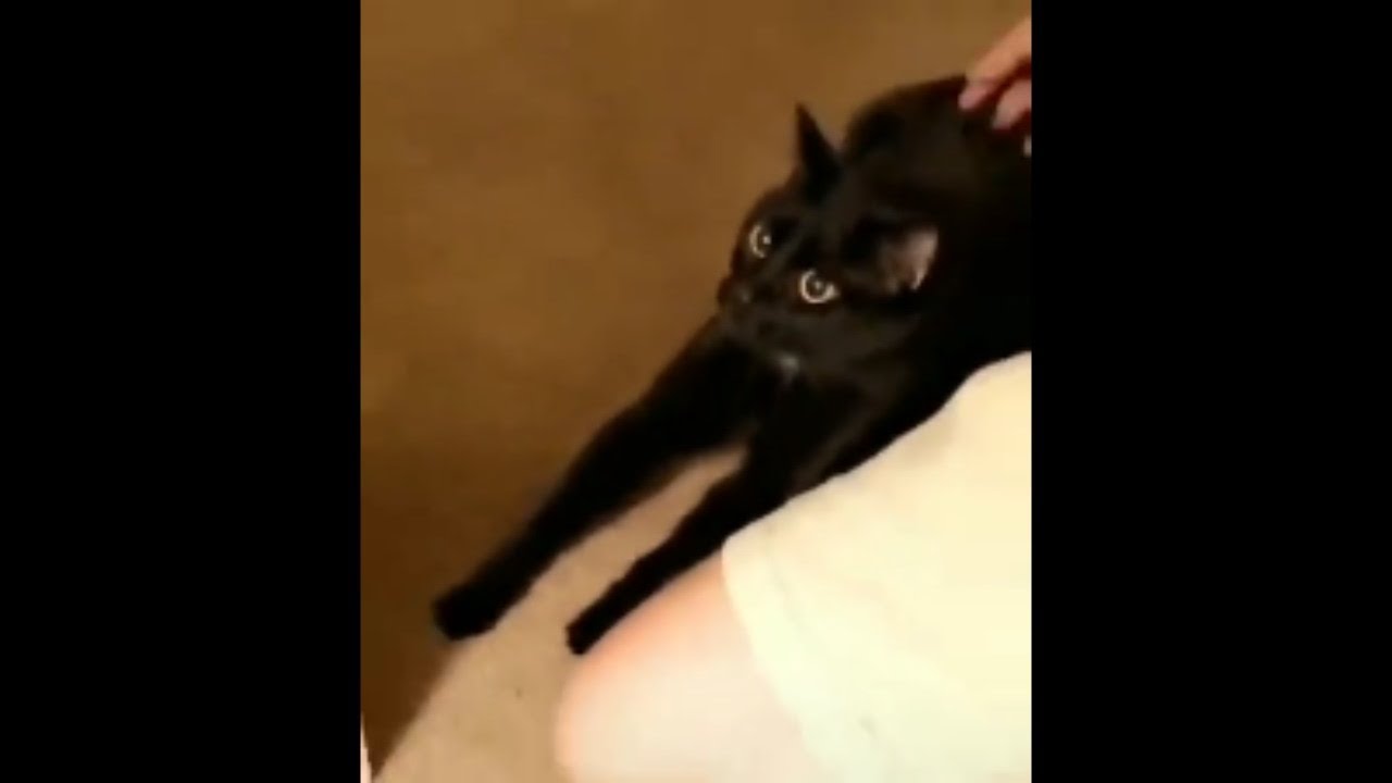 Wat is dis - YouTube