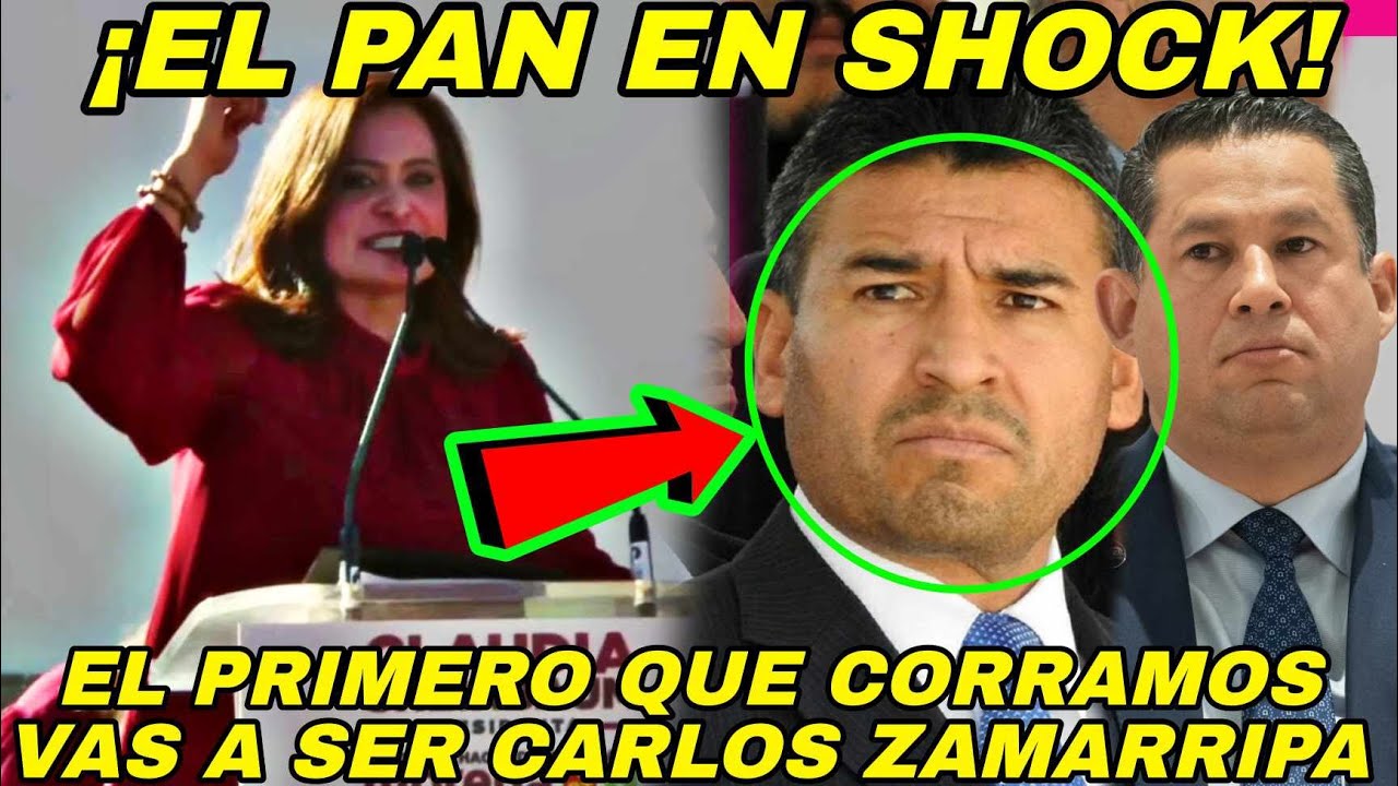 YA VALIO EL PAN EN GUANAJUATO. JOVEN CANDIDATA SUELTA IMPRESIONANTES ...
