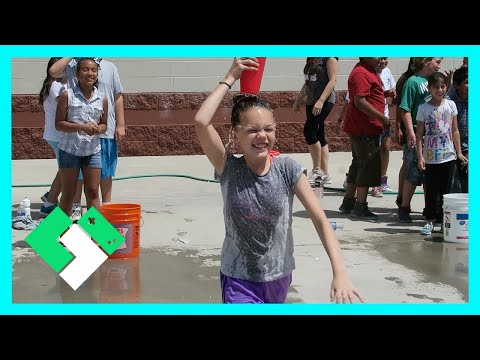 FIELD DAY! (5.11.15 - DAY 1137) | Clintus.tv