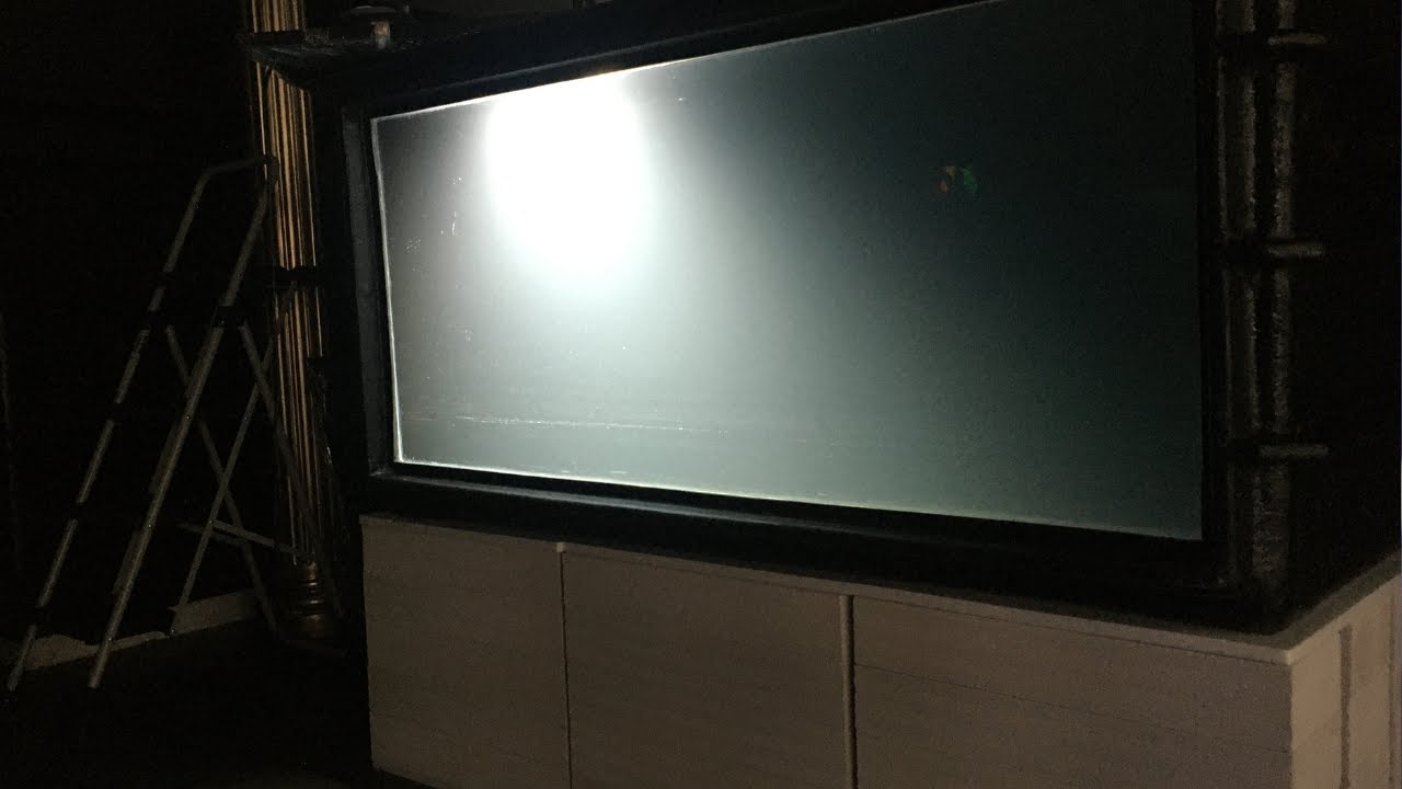New home for the Aimara wolf fish.......400 gallons... - YouTube