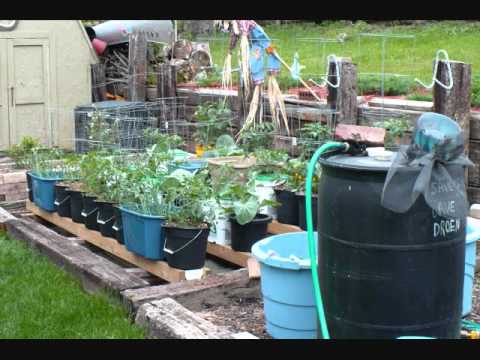 My Cousin Dave Groen's Self Watering Rain Gutter Grow System! Des ...