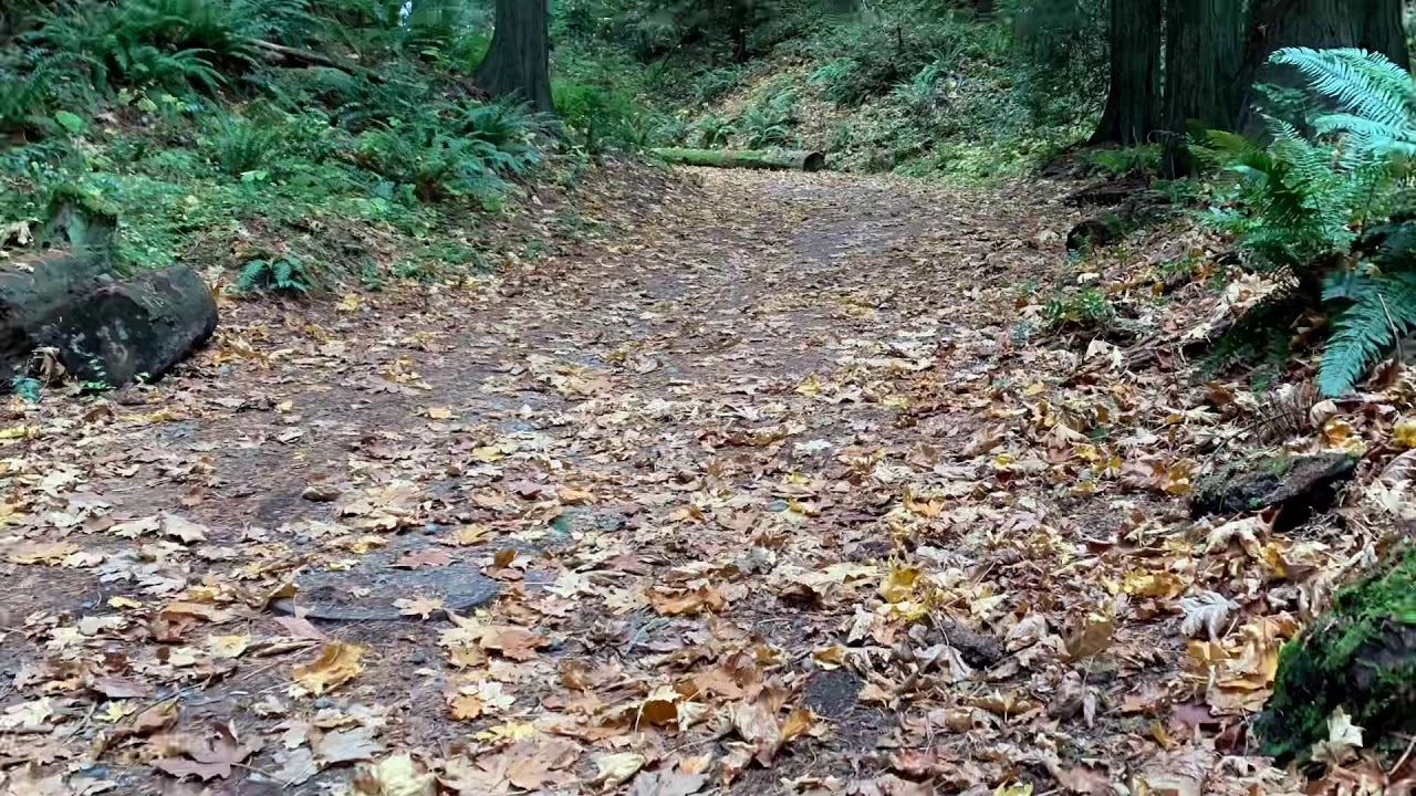 Metchosin Rd Trails - YouTube