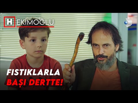 Hekimoğlu, Alerjiye Sebep Olan Fıstığı Bulmaya Çalışıyor! - Hekimoğlu Özel Klip
