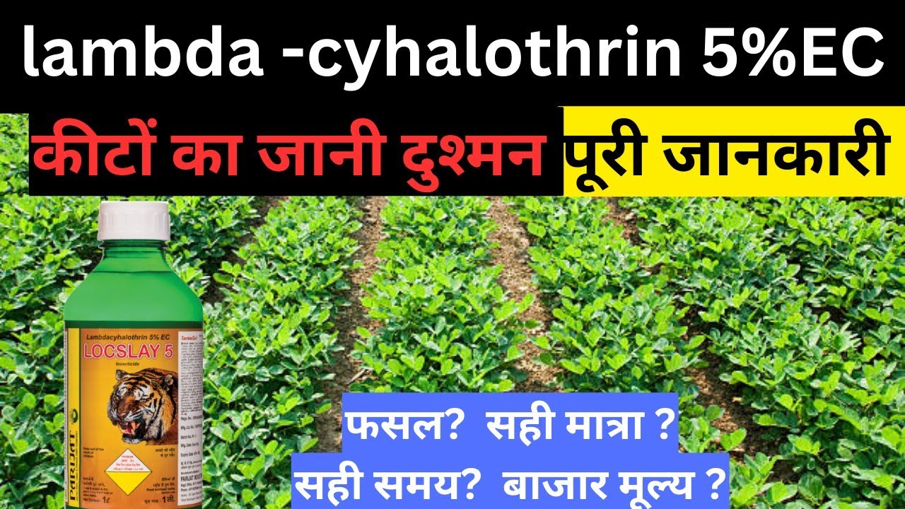 lambda -cyhalothrin 5%EC || lambda cyhalothrin use in crops|| Sygenta karate - YouTube