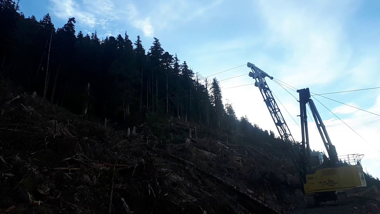 Grapple yarder logging Cypress log champ - YouTube