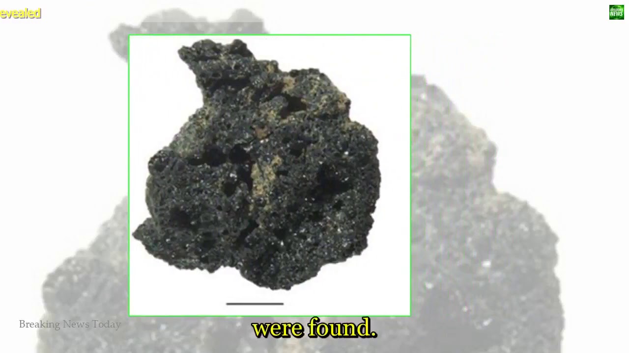 1961 Breaking News Recipe for the world's oldest bread revealed - YouTube