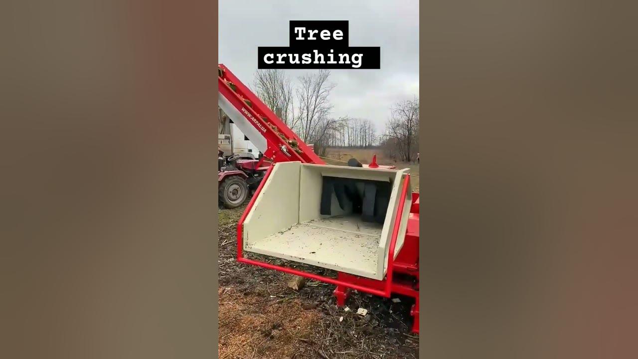 tree crushing | machines | cutting trees #trees #crushing #machines ...