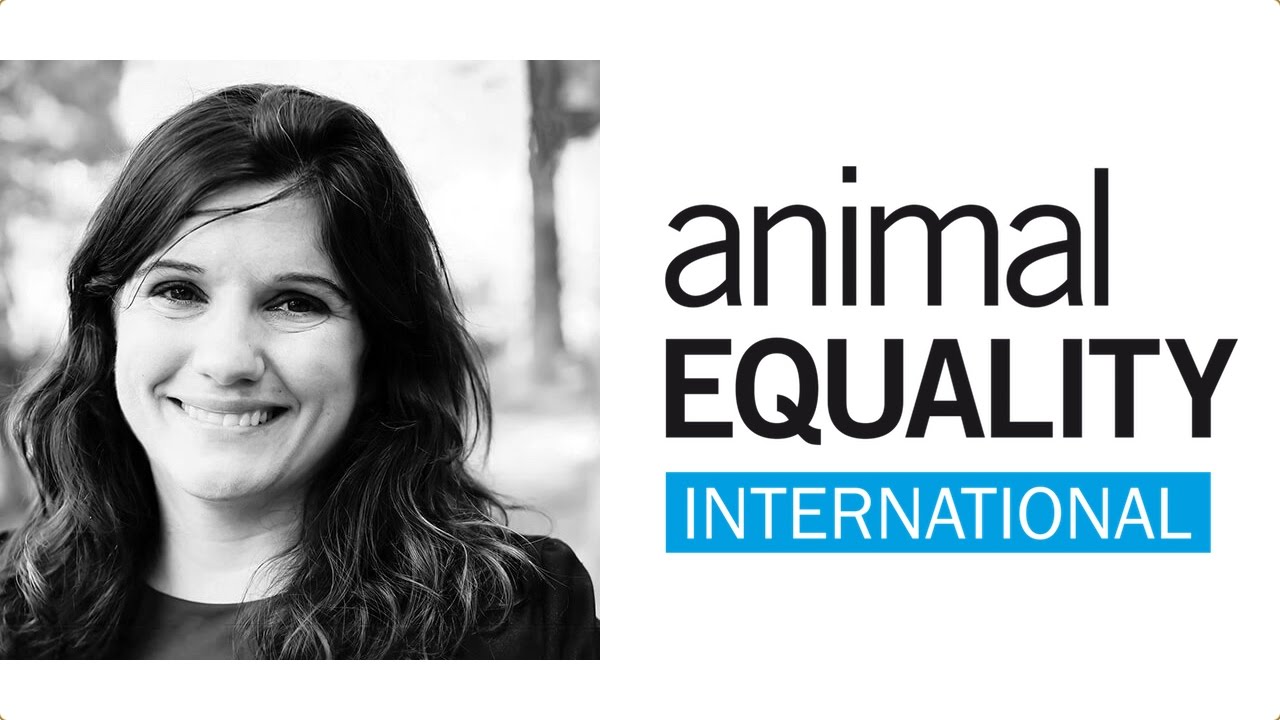 Animal Equality | Changing the World for Animals - YouTube
