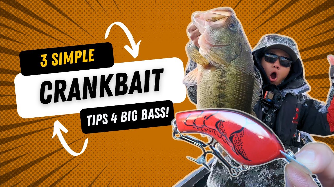 3 Simple Shallow Crankbait Tips to catch MORE BASS - YouTube