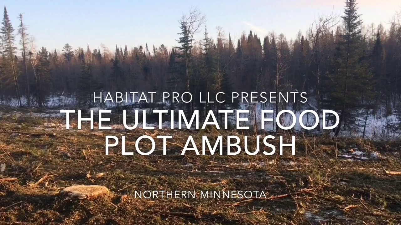 The Ultimate Food Plot Ambush - YouTube