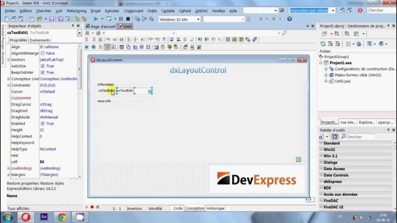 dxLayoutControl DevExpress VCL Embracadero xe8 - YouTube