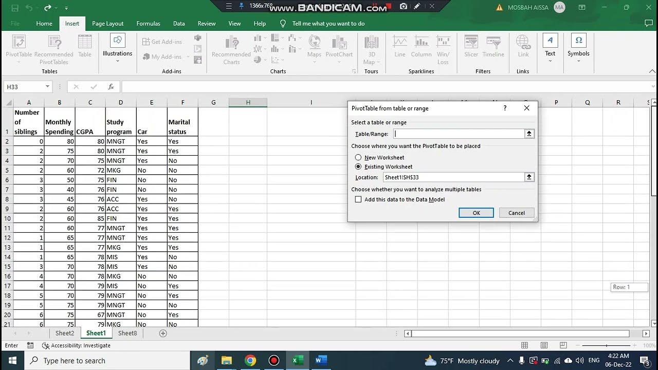 2 Excel: Summary table, graphical representation - YouTube