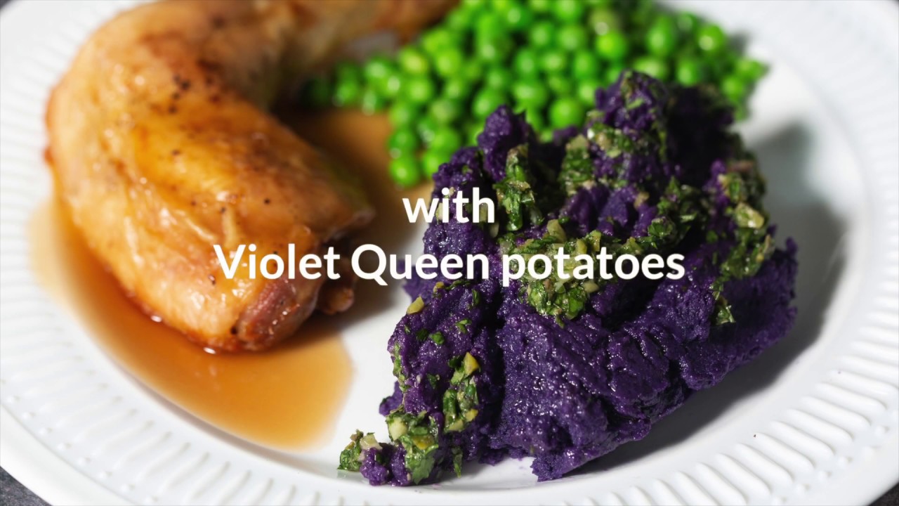 Violet Queen mashed potato - YouTube
