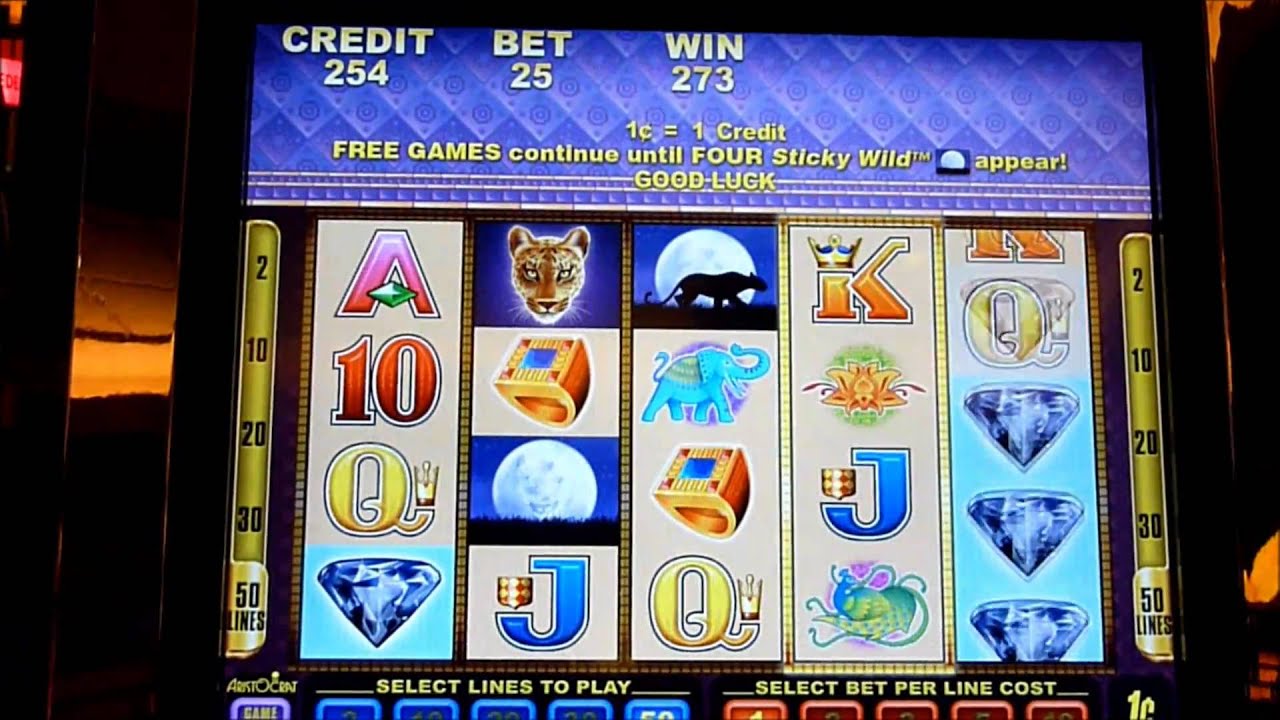 Lucky Leopard Slot Machine Bonus Win (queenslots) - YouTube