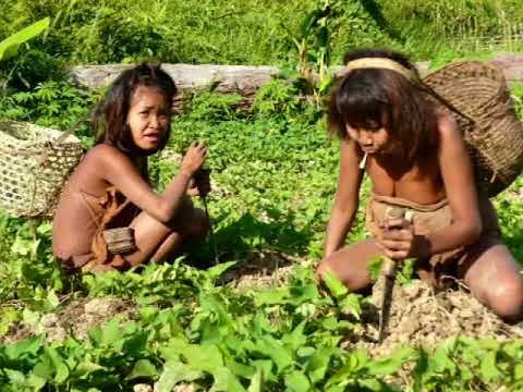 Music and Culture of the Mangyan Tribe * Island of Mindoro * Philippines - YouTube