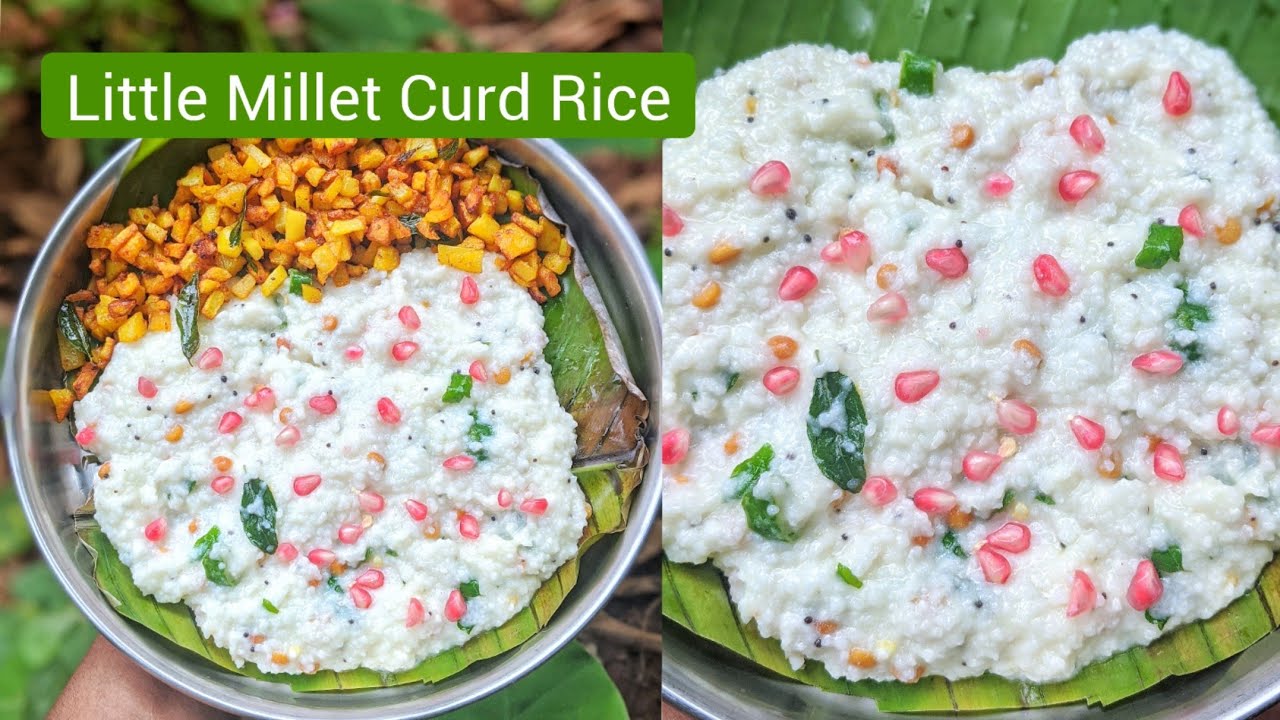 Little Millet Curd Rice | Samai thayir Sadham - YouTube