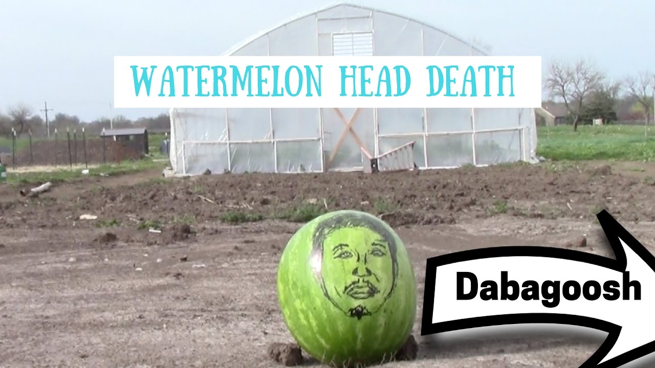 WATERMELON HEAD DEATH - YouTube