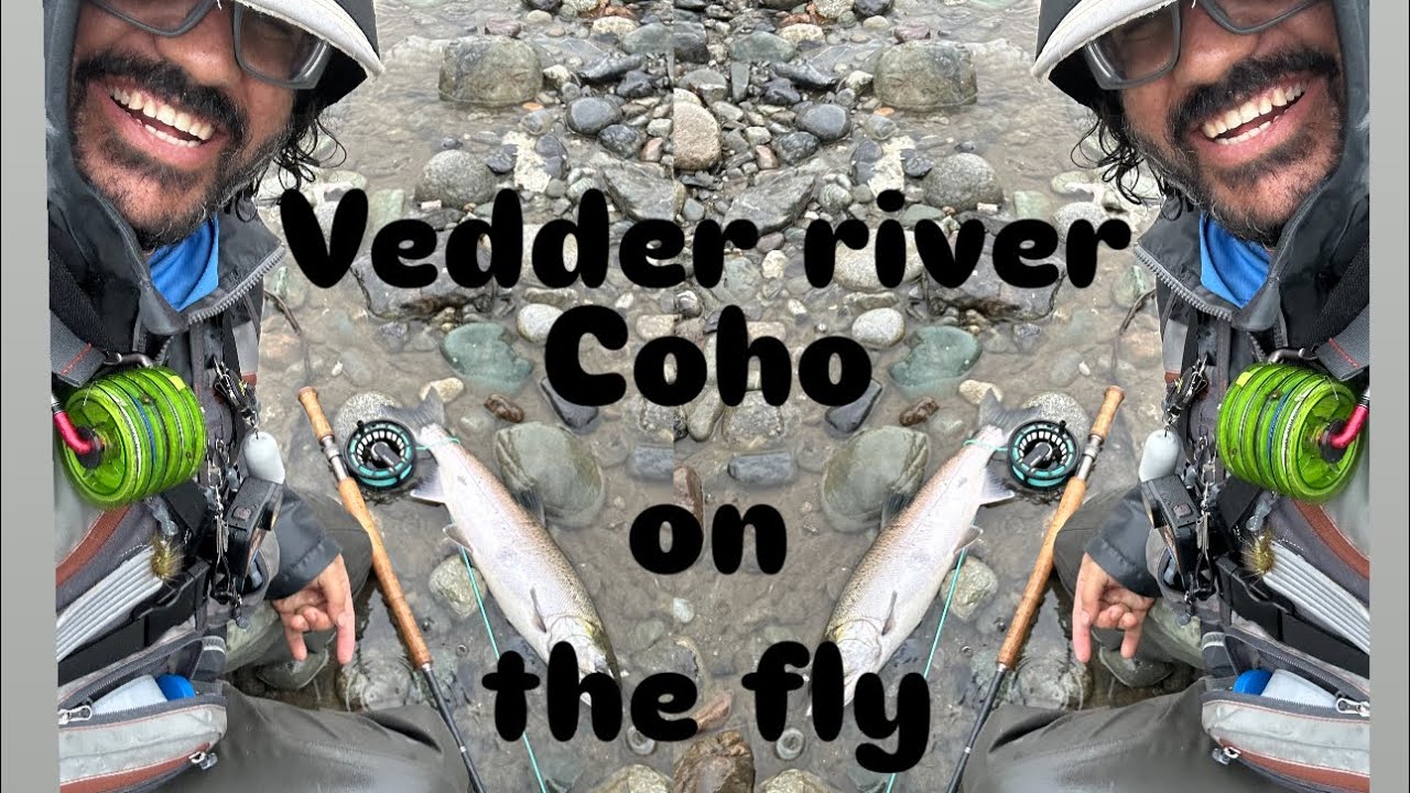 Vedder river chilliwack bc fly fishing for coho salmon - YouTube
