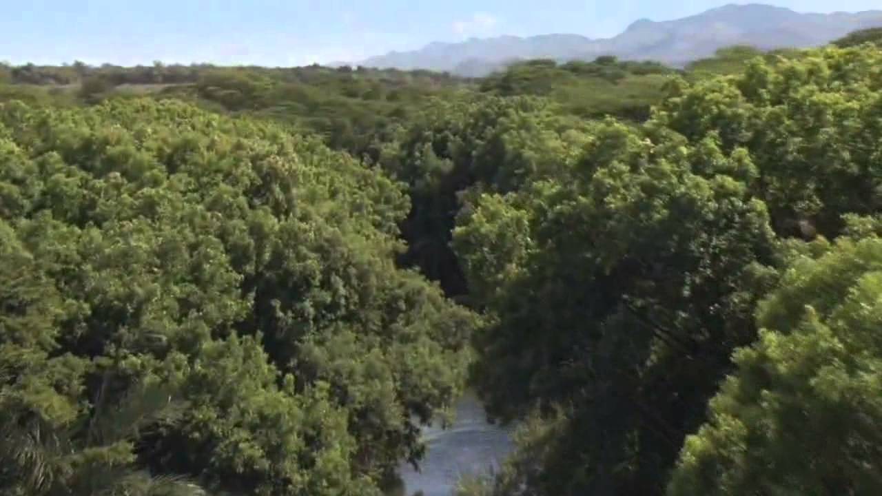 Messiah Project - Back to the Past (Video HD) - YouTube