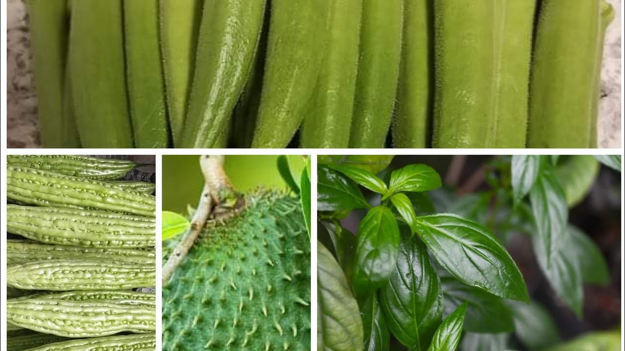 GAMOT SA DIABETES MGA GULAY AT DAHON NG PRUTAS.. WATCH THIS! - YouTube
