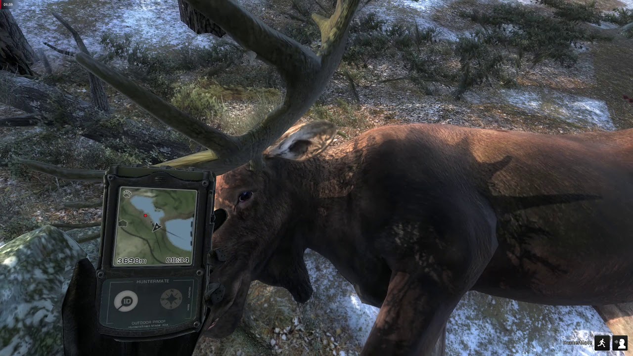 the hunter Moose hunting with .405 rifle - YouTube